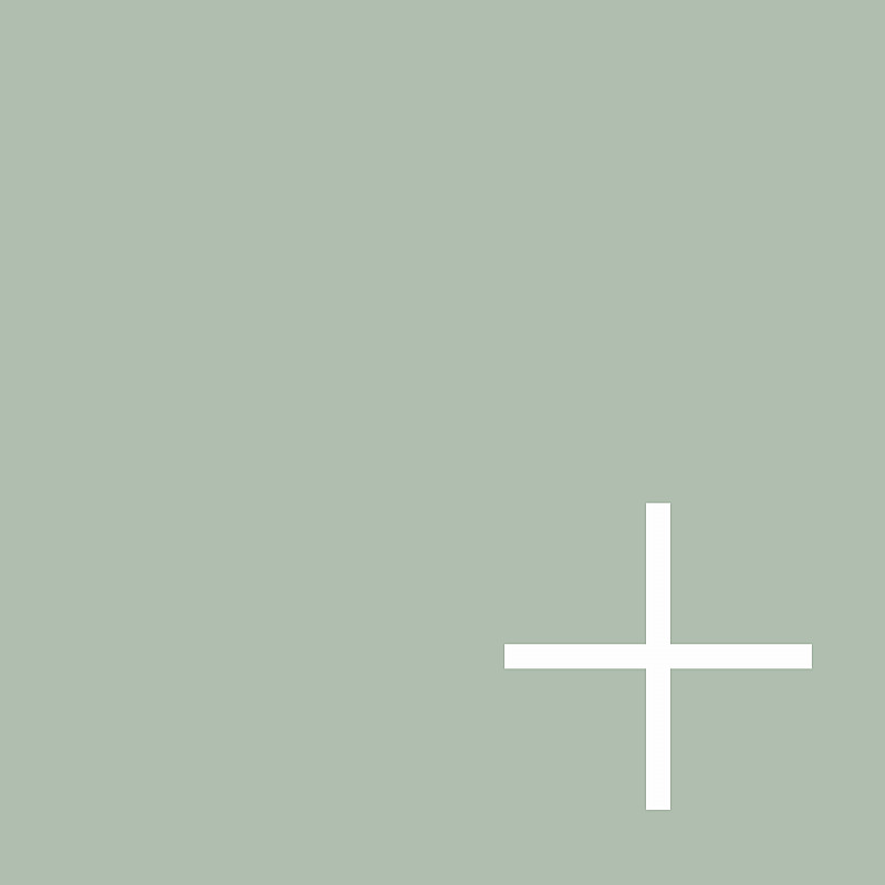 Carbon Neutral Plus | Stanton Williams